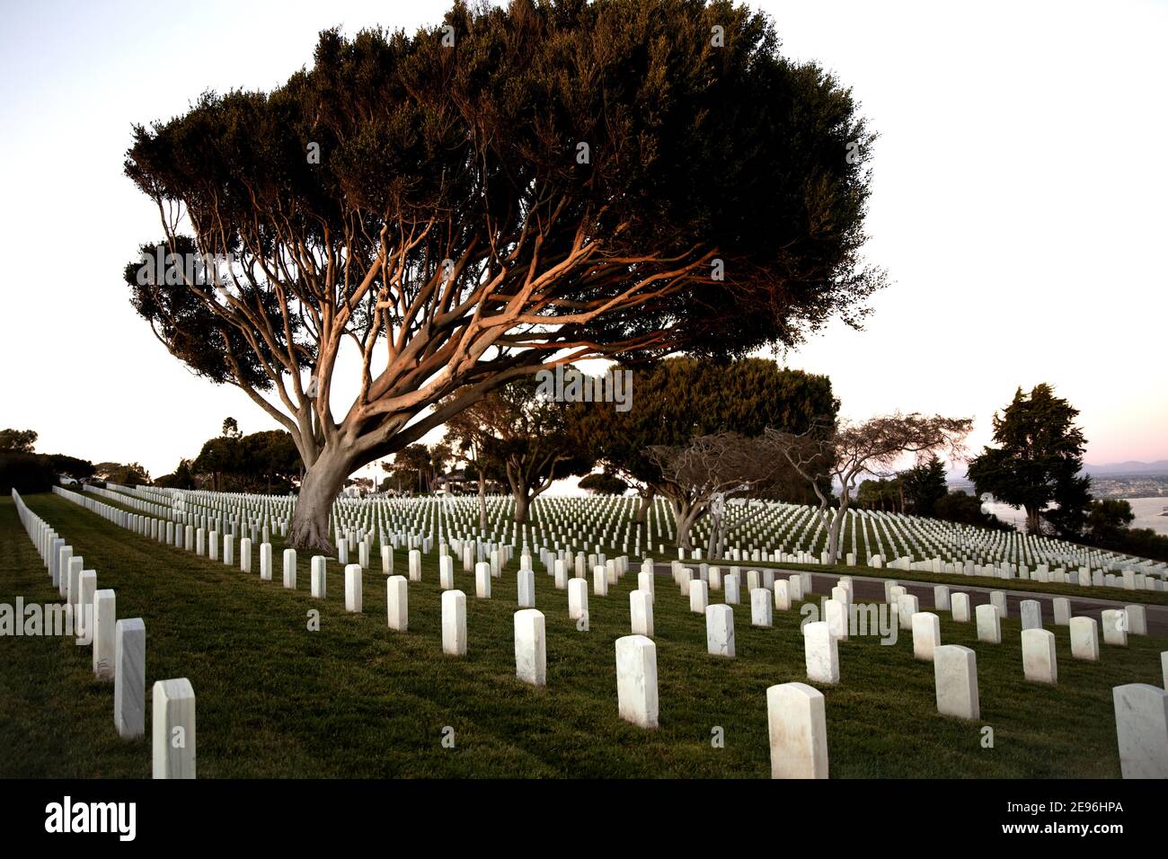 War cemetery with rows of white marble graves on green grass at sunset ...