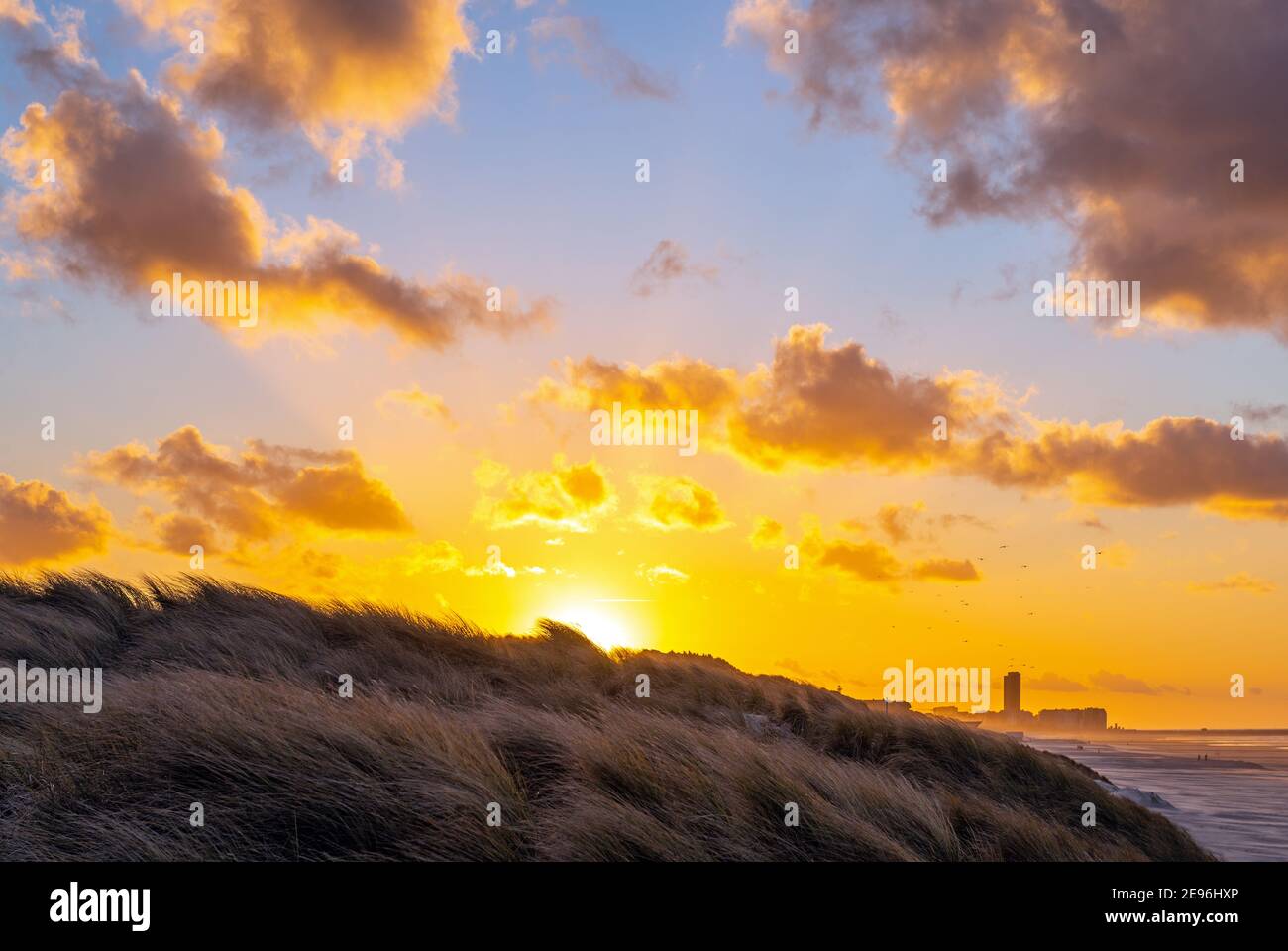 Belgium landscape hi-res stock photography and images - Alamy