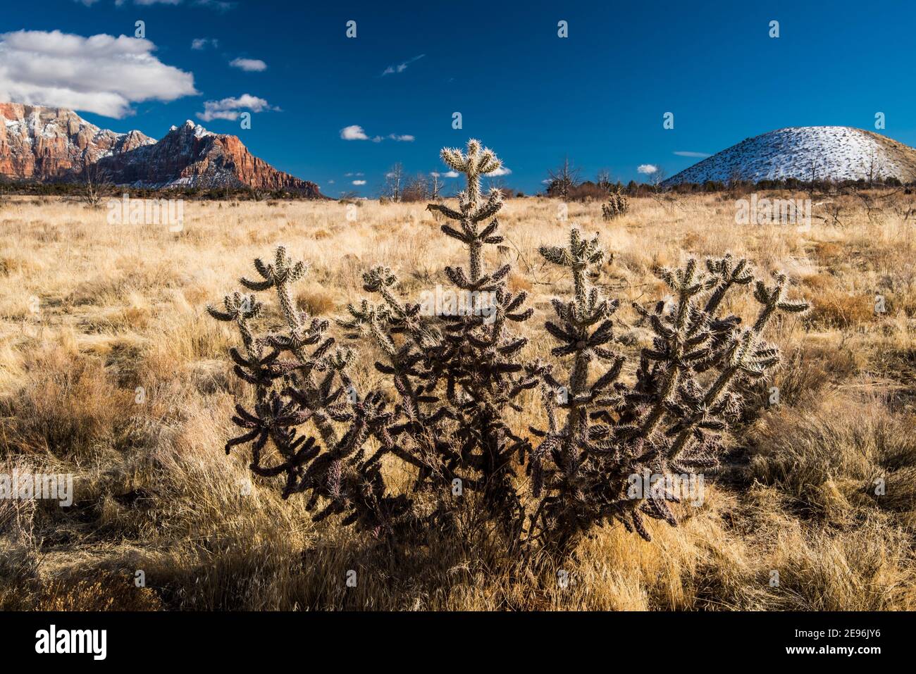 The high mountain plateau of southern Utah, USA, west of Zions National ...