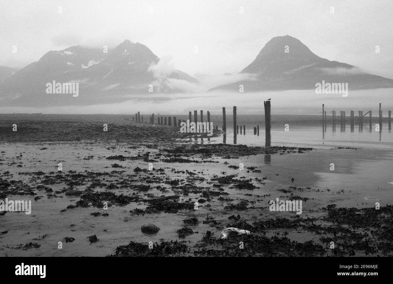 Black mud pools hi-res stock photography and images - Alamy