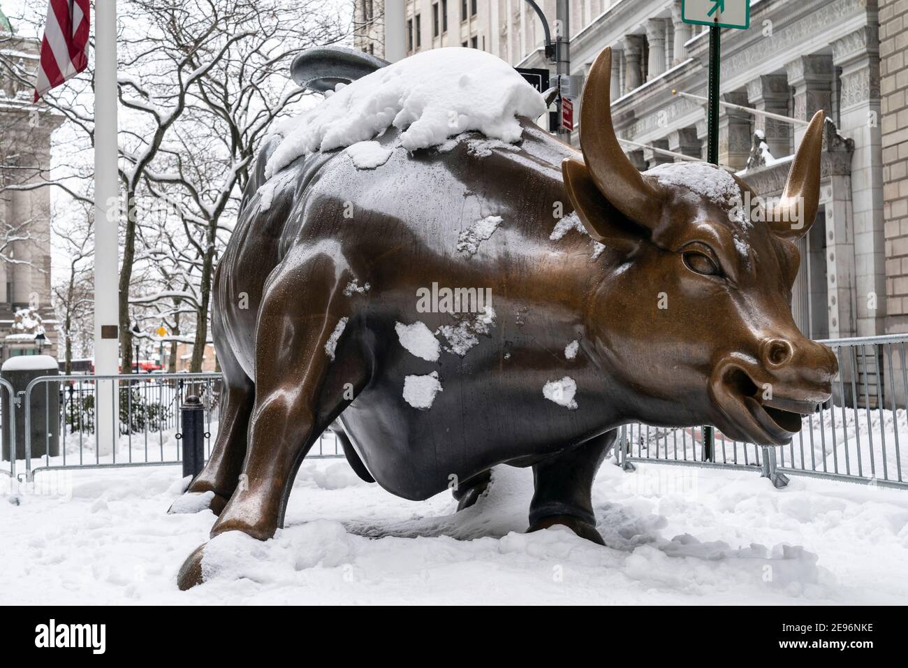 New York, NY - February 2, 2021: Charging Bull sculpture seen on ...