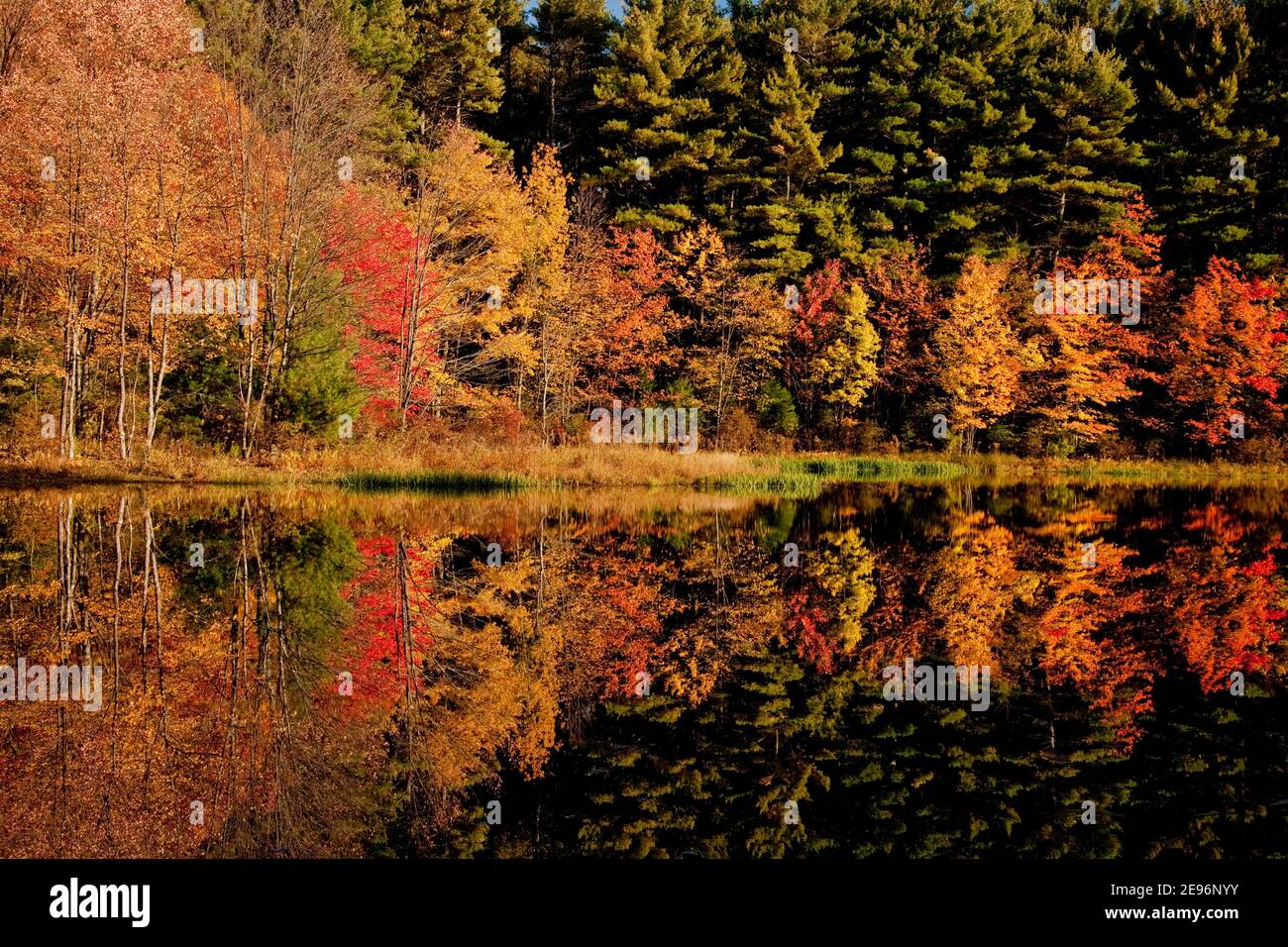 Fall colors, Delaware Water Gap, PA Stock Photo - Alamy