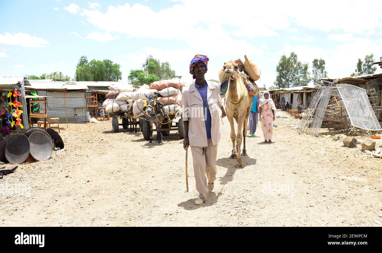 Camels carrying goods to the market in Axum, Ethiopia Stock Photo - Alamy