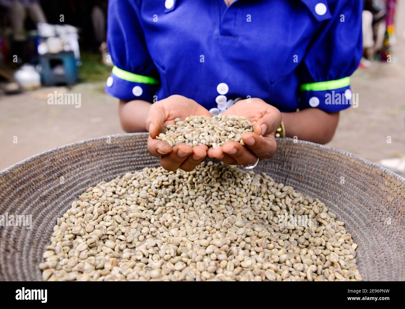 A Tigray woman sorting out waste out of pile of fresh coffee beans in ...