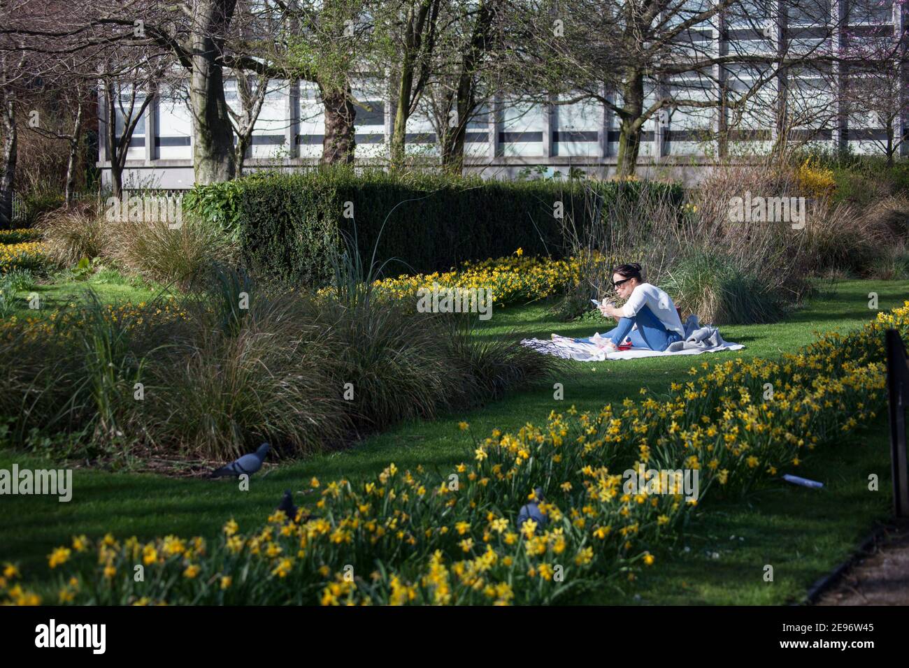 Spring, park, fair weather, grass, trees, sunny day, mild weather ...