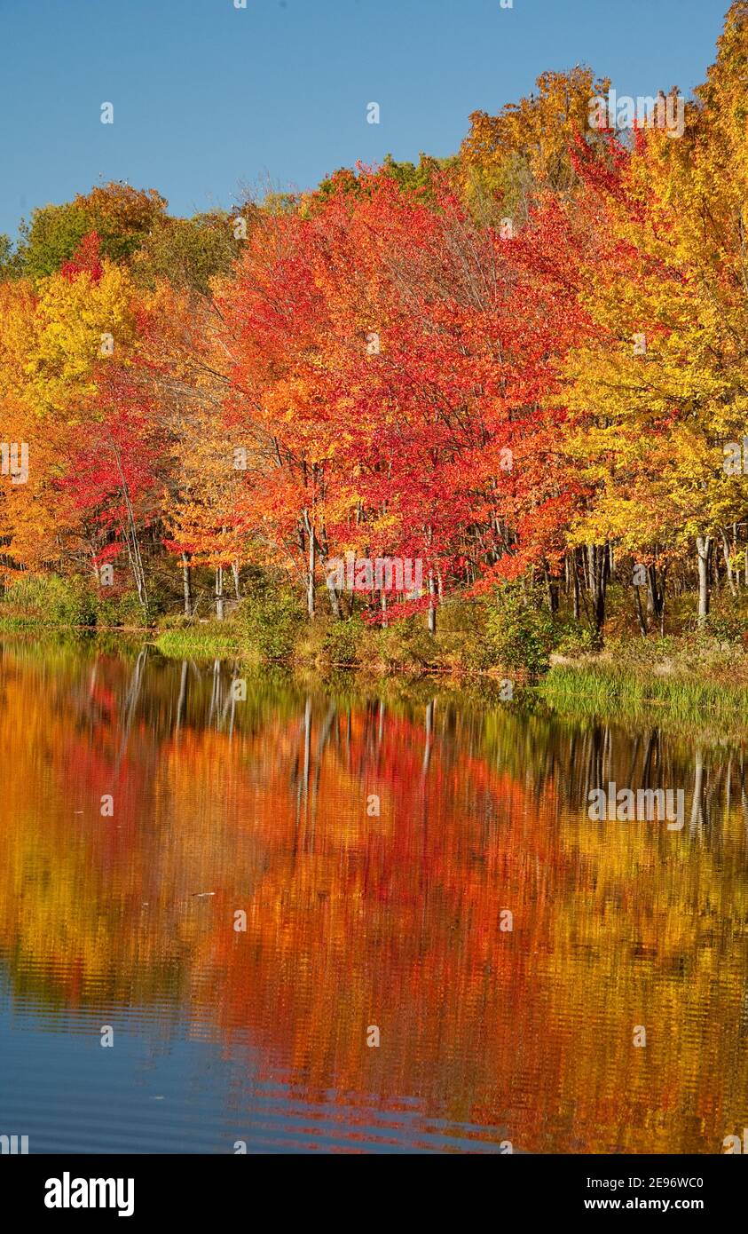 What color is your pa hi-res stock photography and images - Alamy