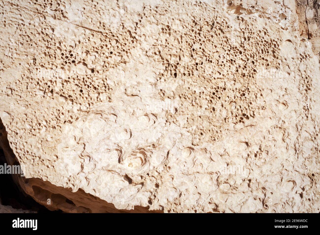 Surface sandy rock. Rocky shore of the Caspian Sea Stock Photo - Alamy