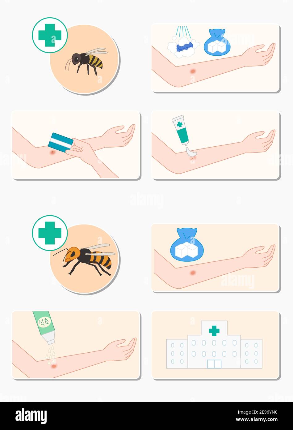 Insect accident hi-res stock photography and images - Alamy