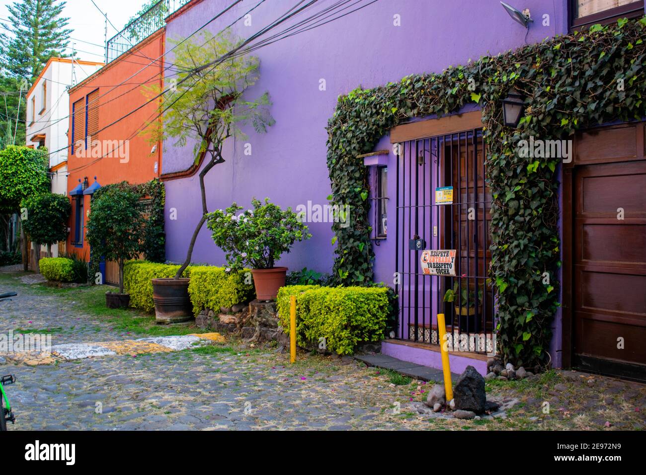 Purple Hispanic house and beautiful bushes in Mexico City Stock Photo ...