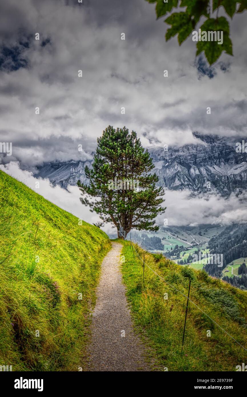 Peak trail swiss glacier outdoors landscape hi-res stock photography ...