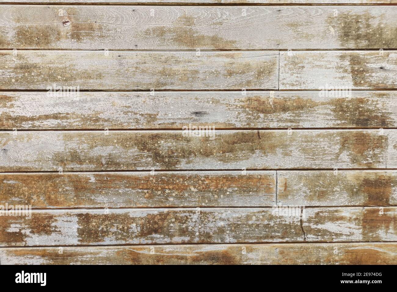 Old moldy wood texture background hi-res stock photography and images ...