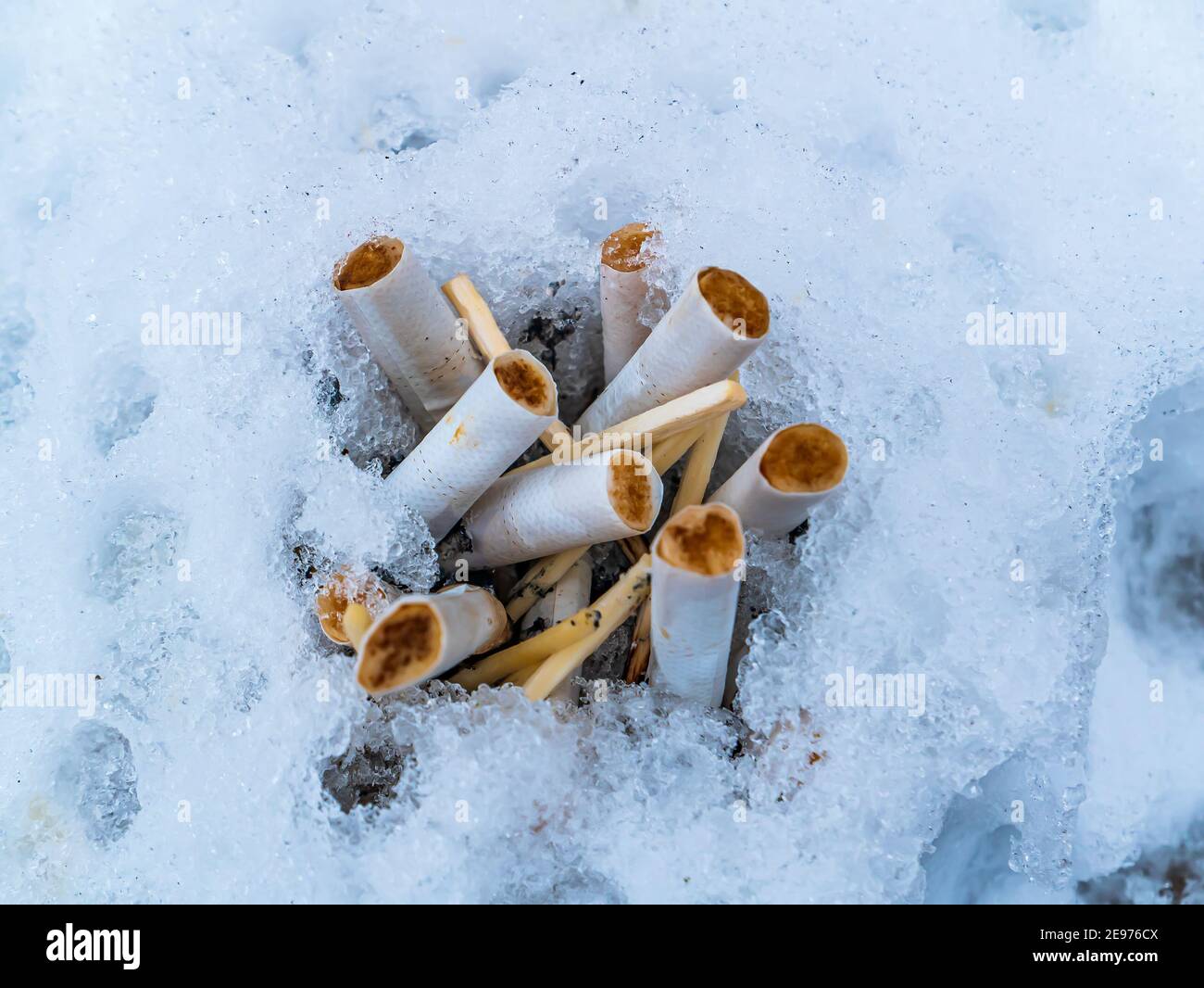 Snow ashtray with cigarette butts and matches. White snow. Cigarette ...