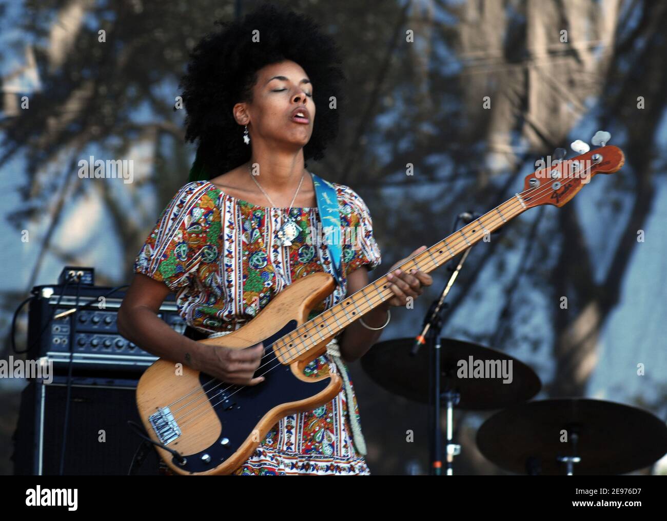 Earl greyhound hi-res stock photography and images - Alamy