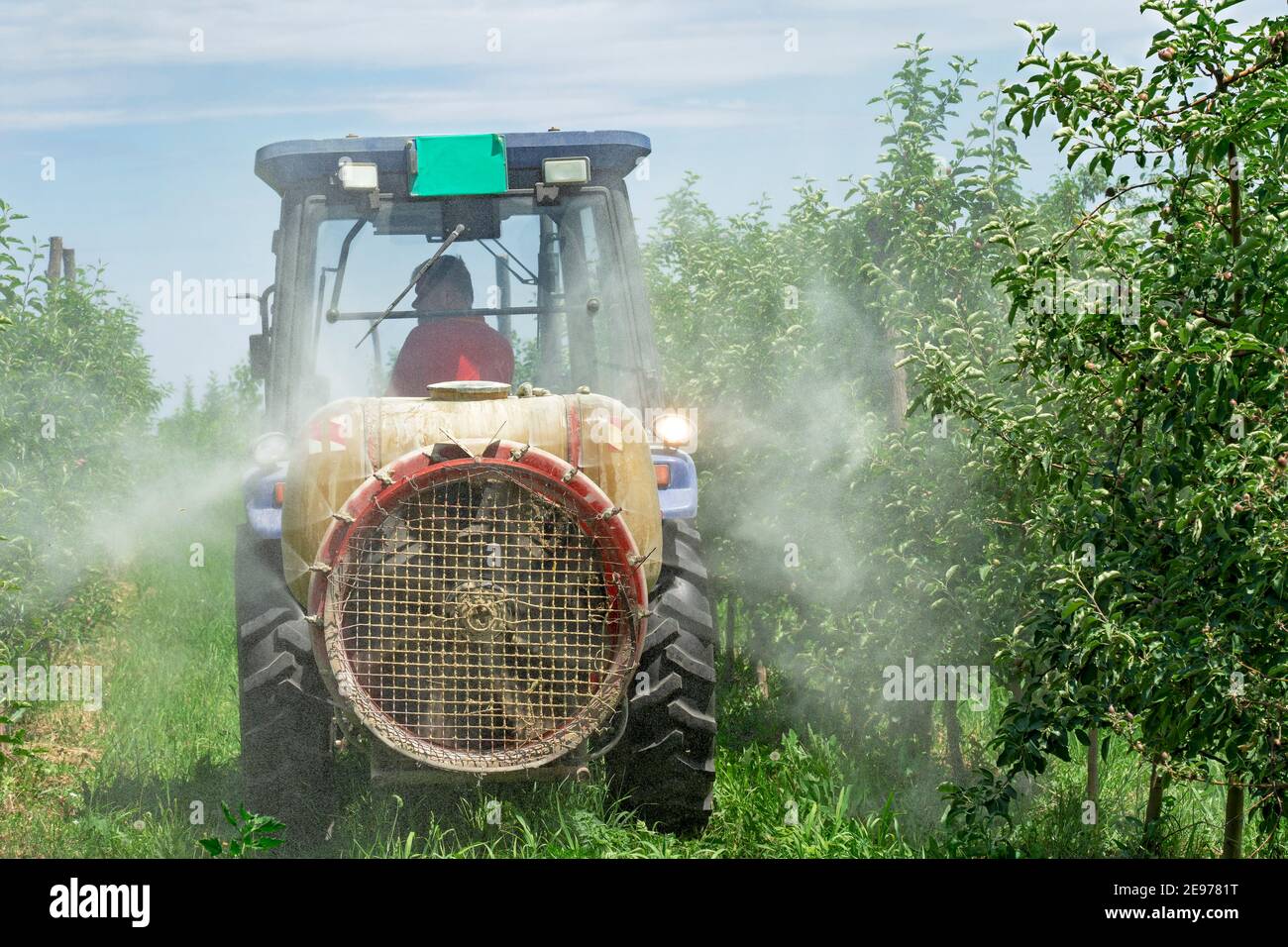 Through the orchard hi-res stock photography and images - Alamy