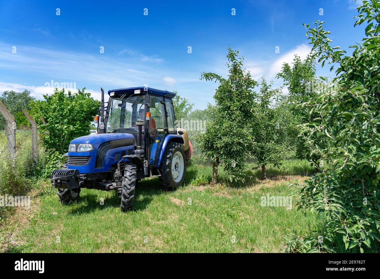 Farmer Driving Tractor Through Apple Orchard. Apple Tree Spraying with ...
