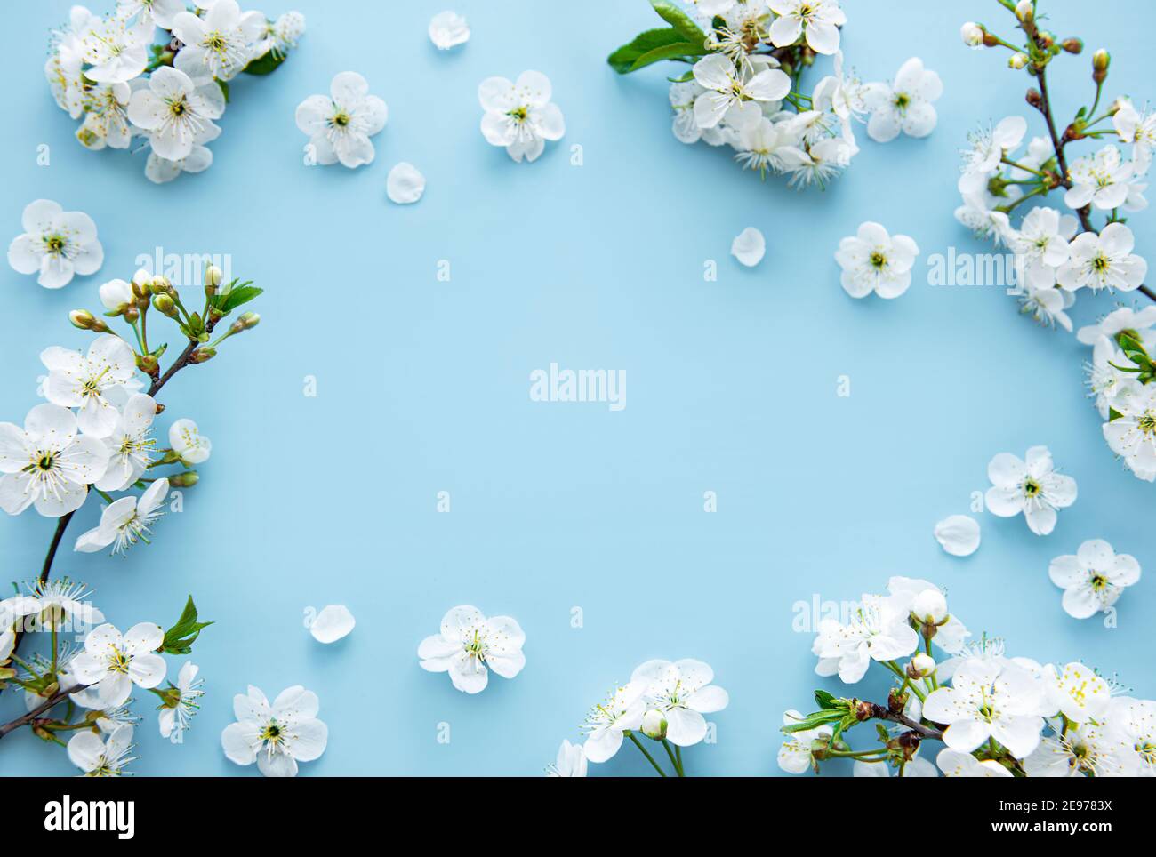 Beautiful Springtime Border Spring Flower Border: Clip Art, Page