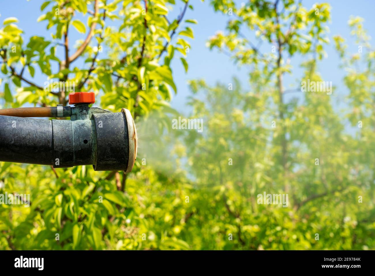 Farmer Spraying Orchard in Springtime. Farmer Sprays Trees With Toxic ...