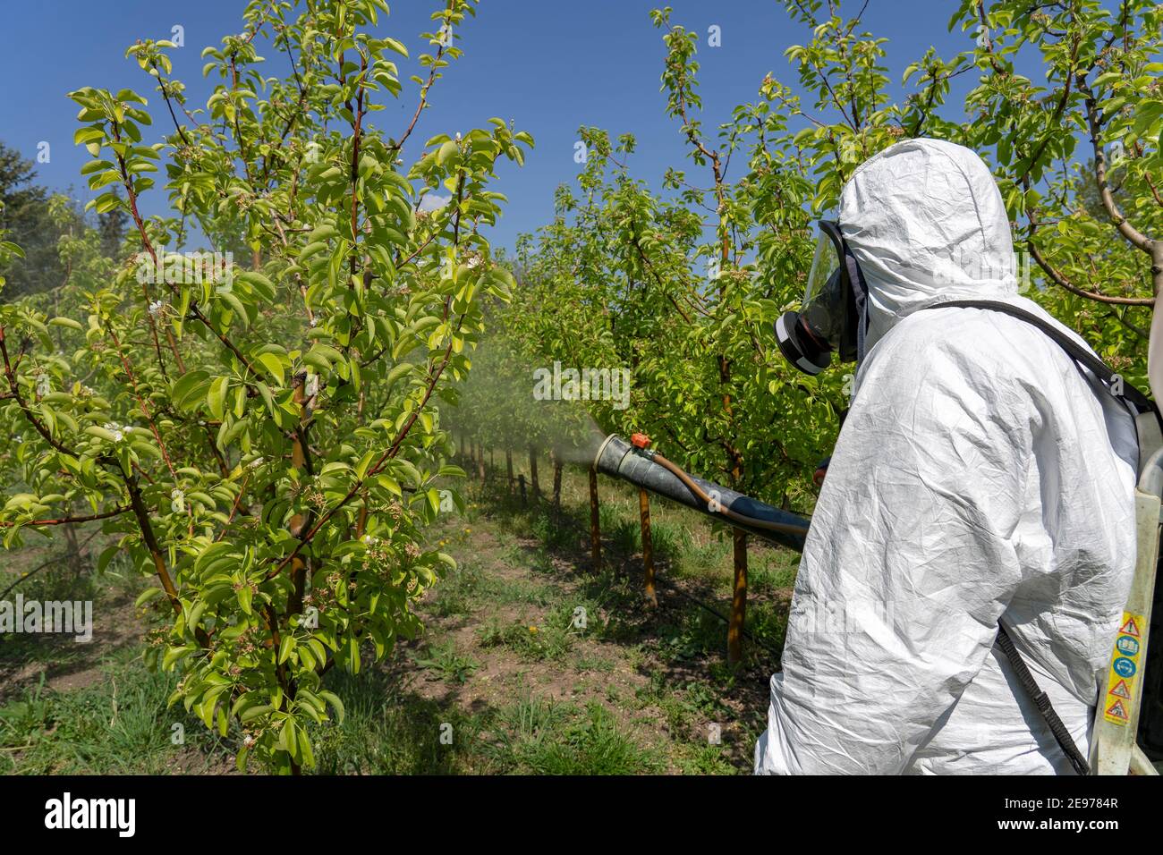Man in Coveralls With Gas Mask Spraying Orchard in Springtime. Farmer ...