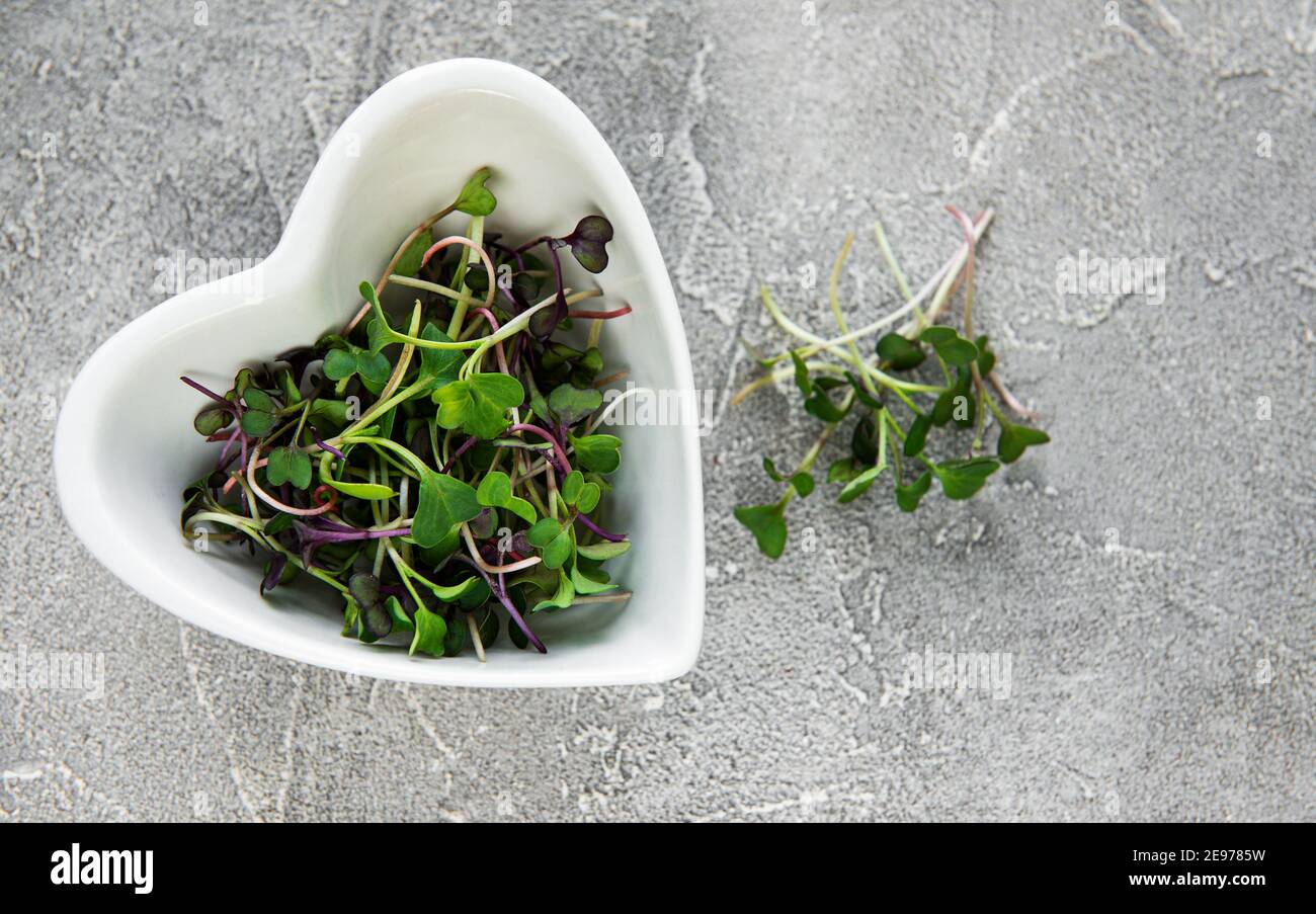 Red radish microgreens on a concrete table, healthy concept Stock Photo ...
