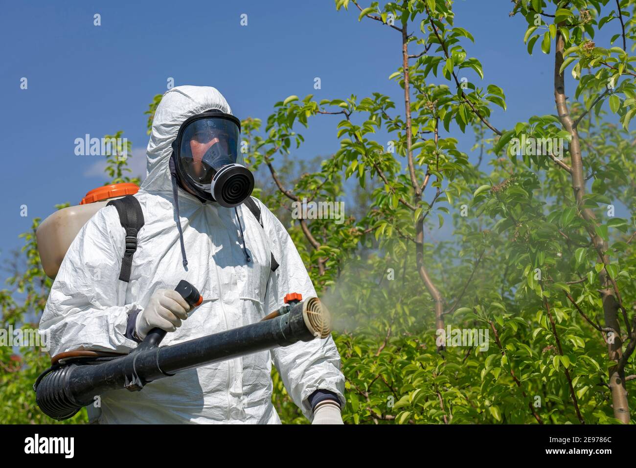 Man in Coveralls With Gas Mask Spraying Orchard in Springtime. Farmer ...
