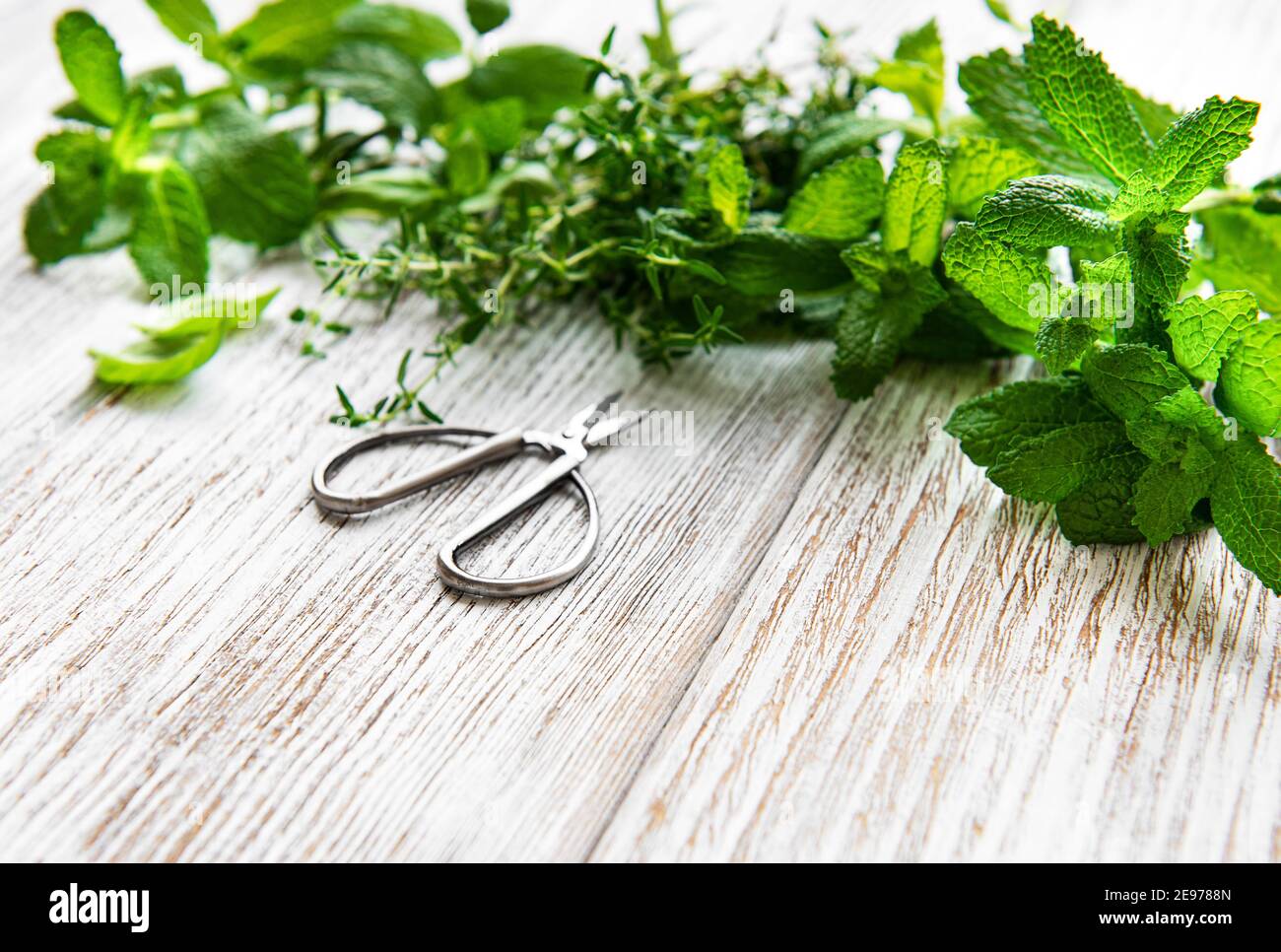 Fresh herbs cut in hi-res stock photography and images - Alamy