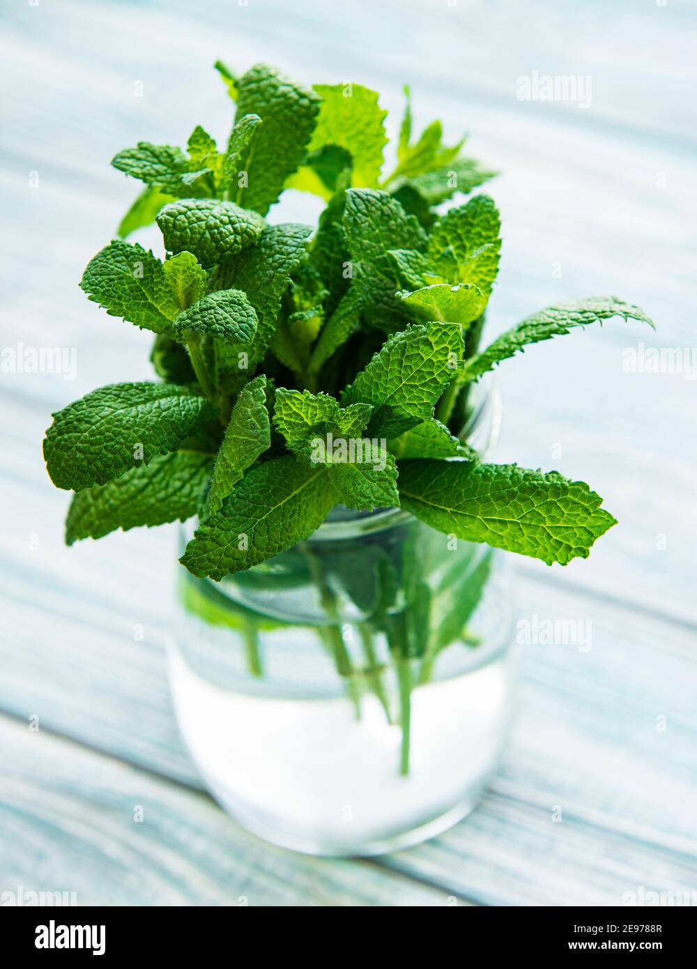 Fresh mint leaves in a small glass jar Stock Photo - Alamy