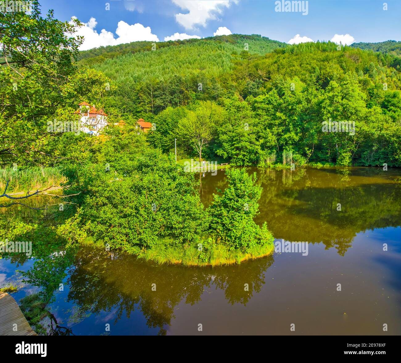 Floating island on the lake Smetes in Serbia Stock Photo - Alamy