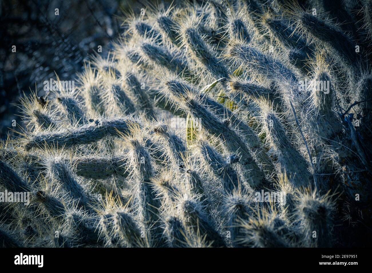 San Pedro De Azafranes Otaez Durango