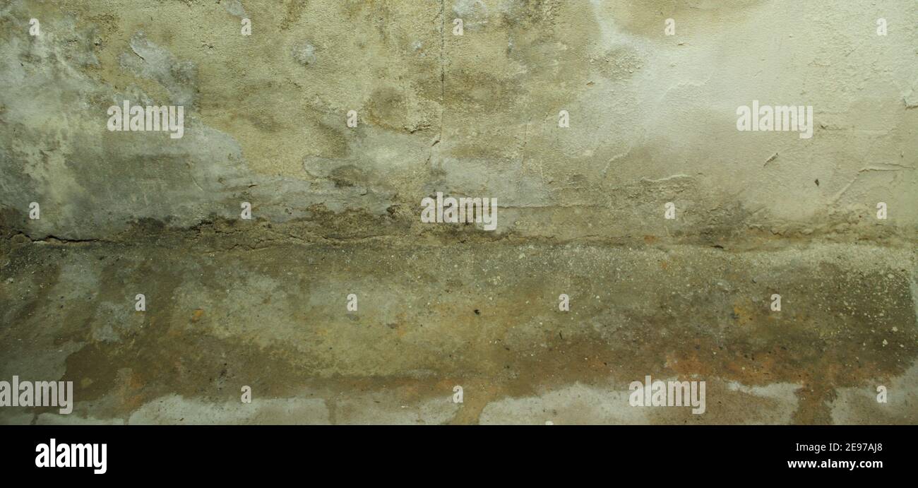 Old damp cellar hi-res stock photography and images - Alamy