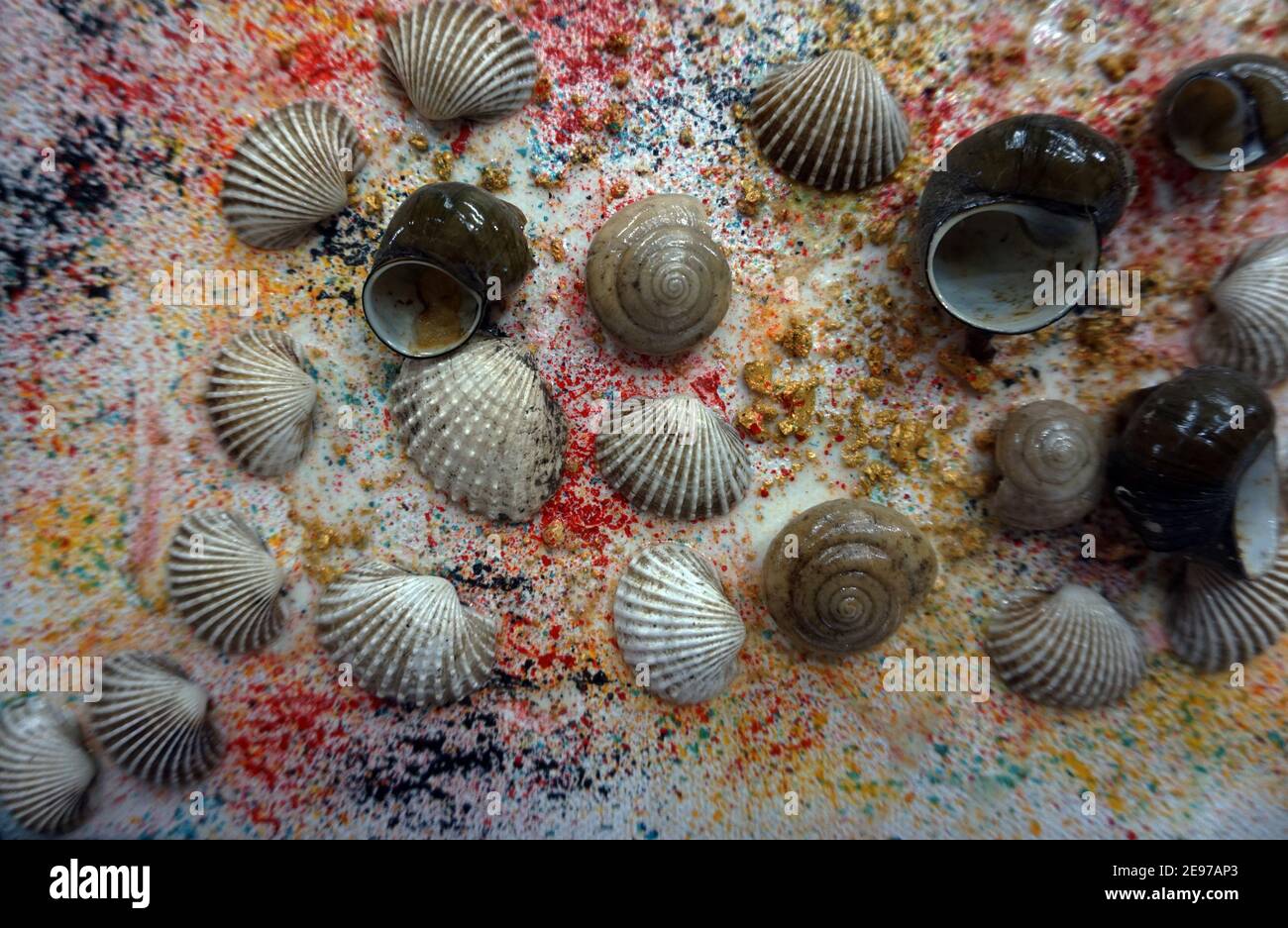Mixed media art, a variety of shells on the background disappearing ...