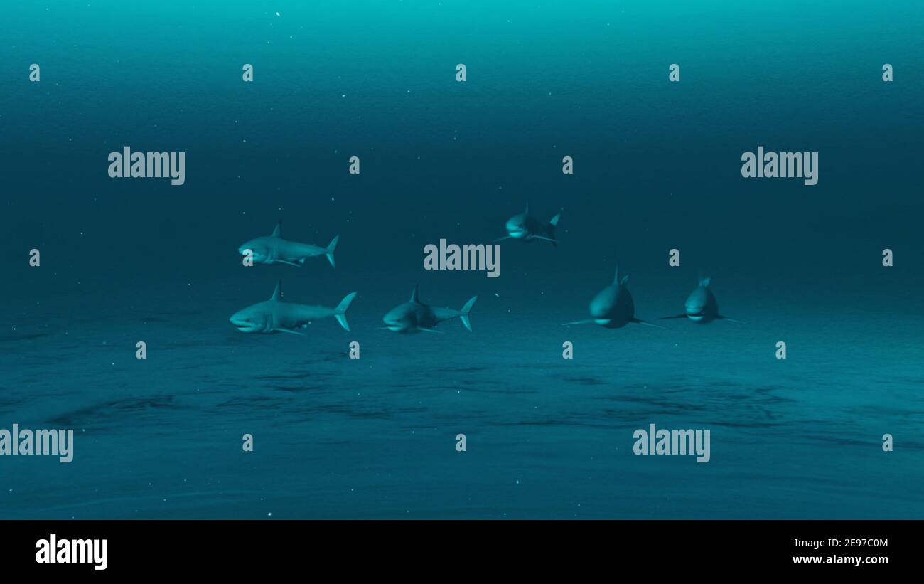 Deep Ocean Water Life