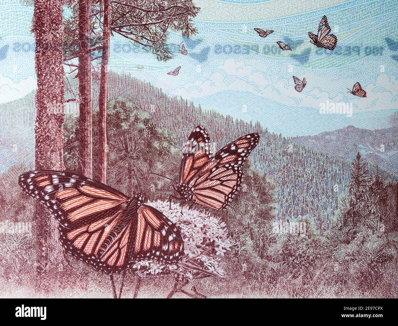 Butterflies from Mexican money - Pesos Stock Photo - Alamy