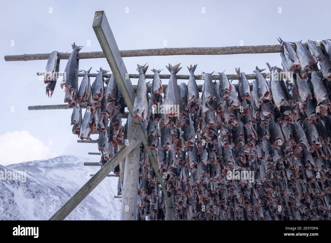 Norwegian fisherman photography hi-res stock photography and images - Alamy