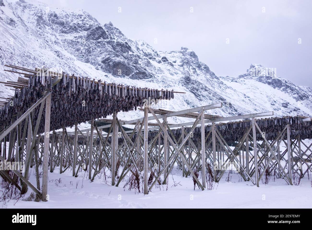 Drying racks for fish stock Stock Photo - Alamy
