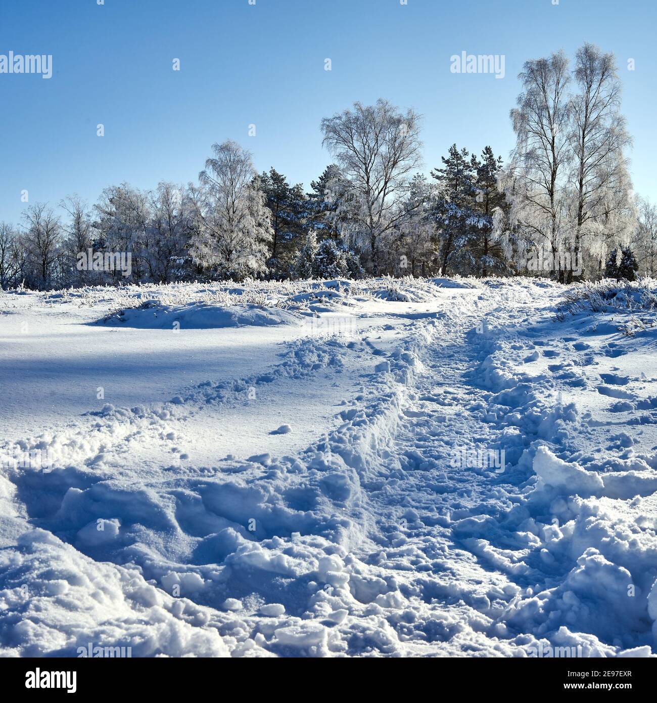 Pedestrians walking in snow hi-res stock photography and images - Alamy