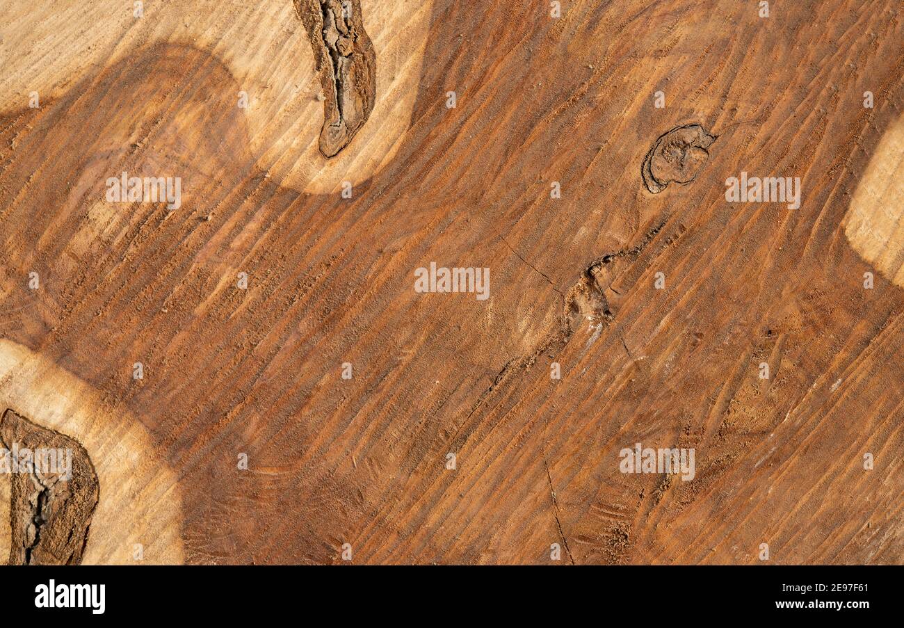 Closeup of natural wood piece creating a background in rough style ...
