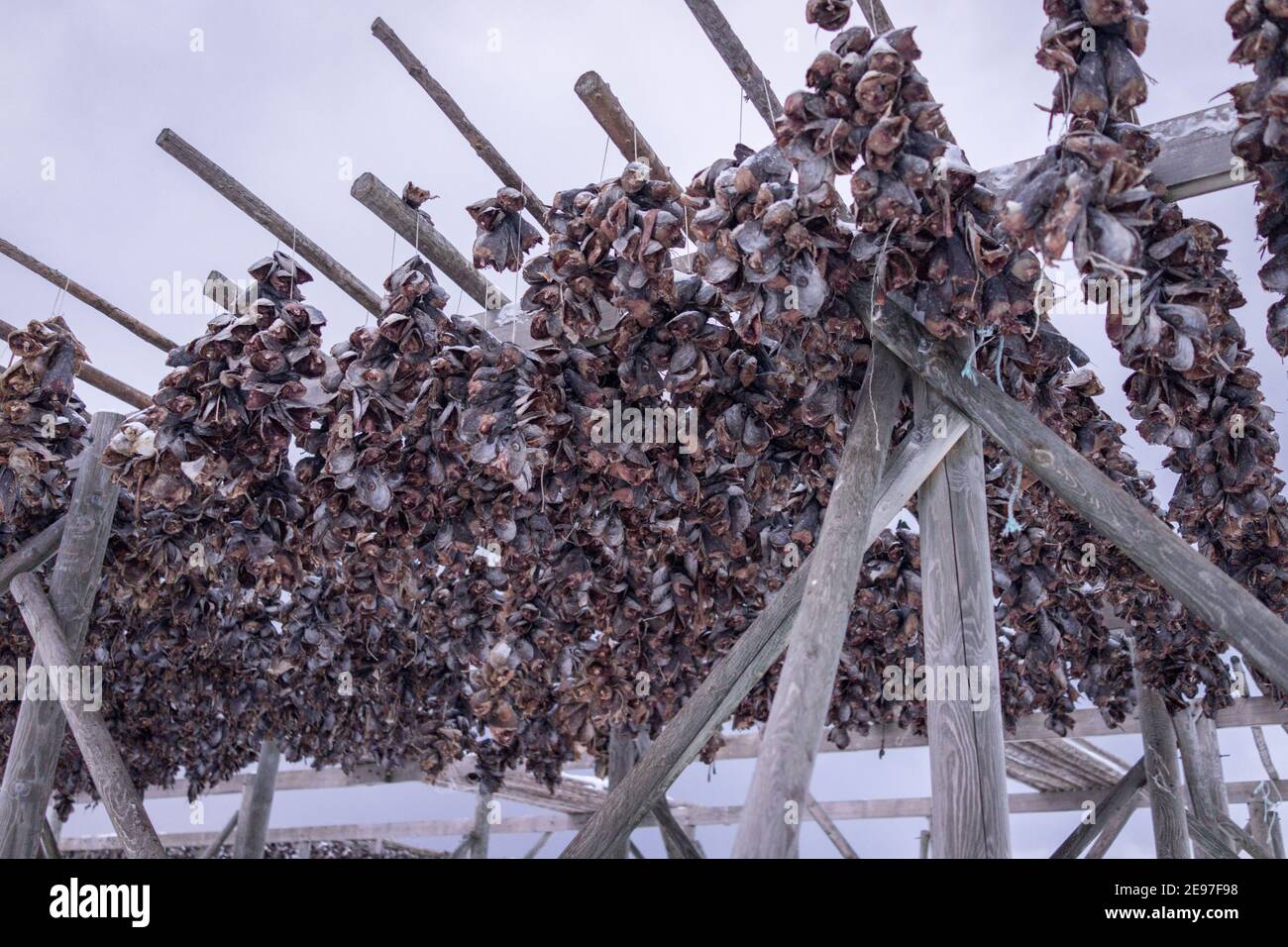 Drying racks for fish heads Stock Photo - Alamy