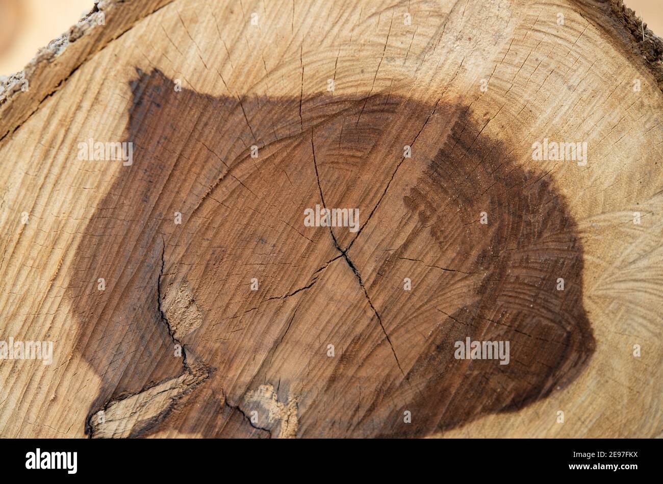 Dark and light shadows of natural wood making interesting a background ...