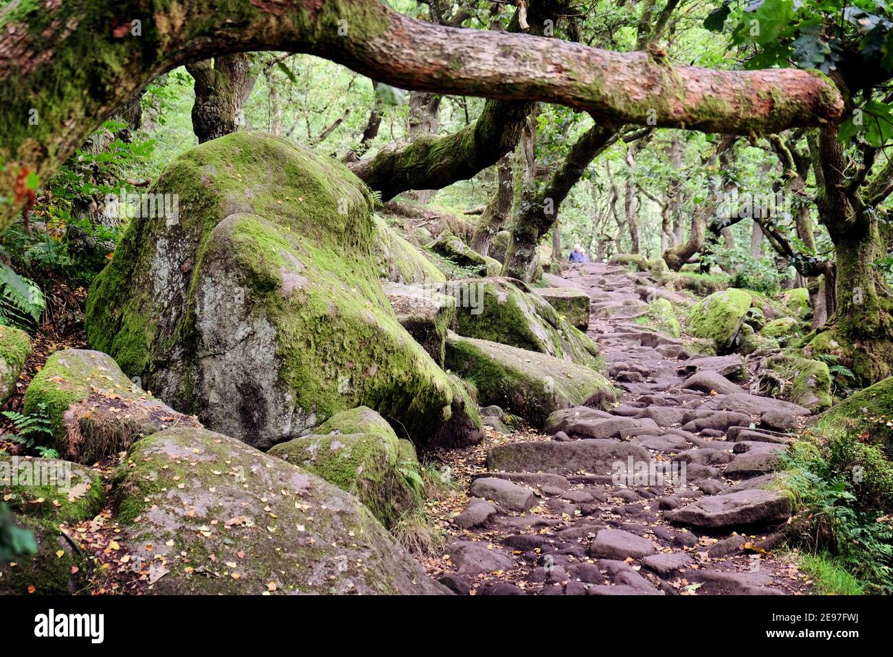 Rocky footpaths hi-res stock photography and images - Alamy