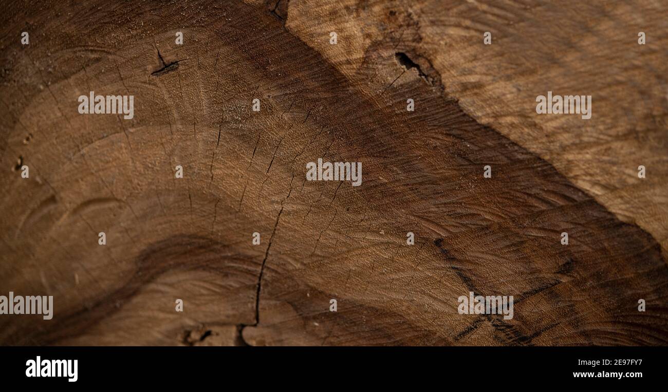 Multiple shades of natural cut tree wooden making a banner background ...