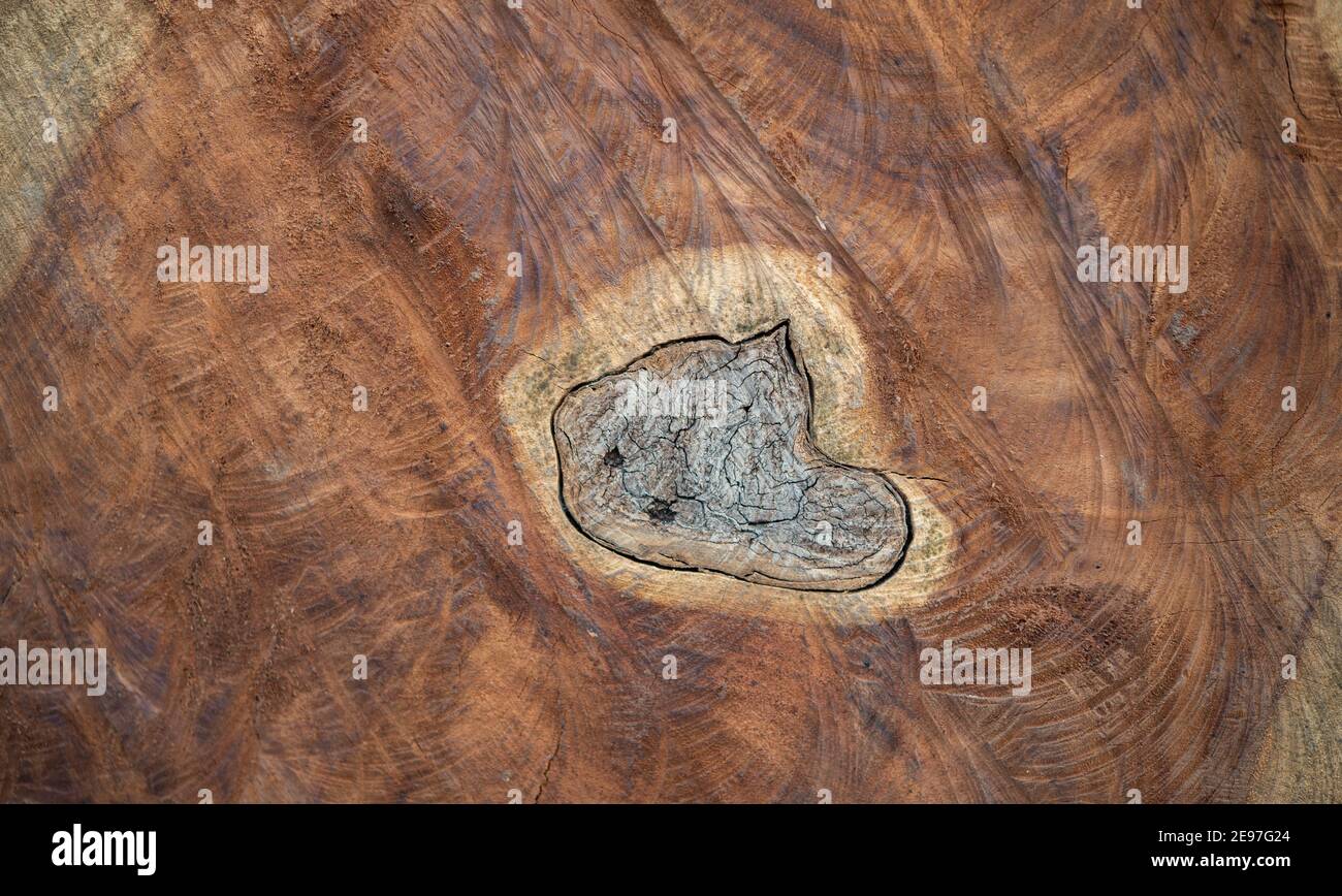Dark and light shadows of natural wood closeup background Stock Photo ...