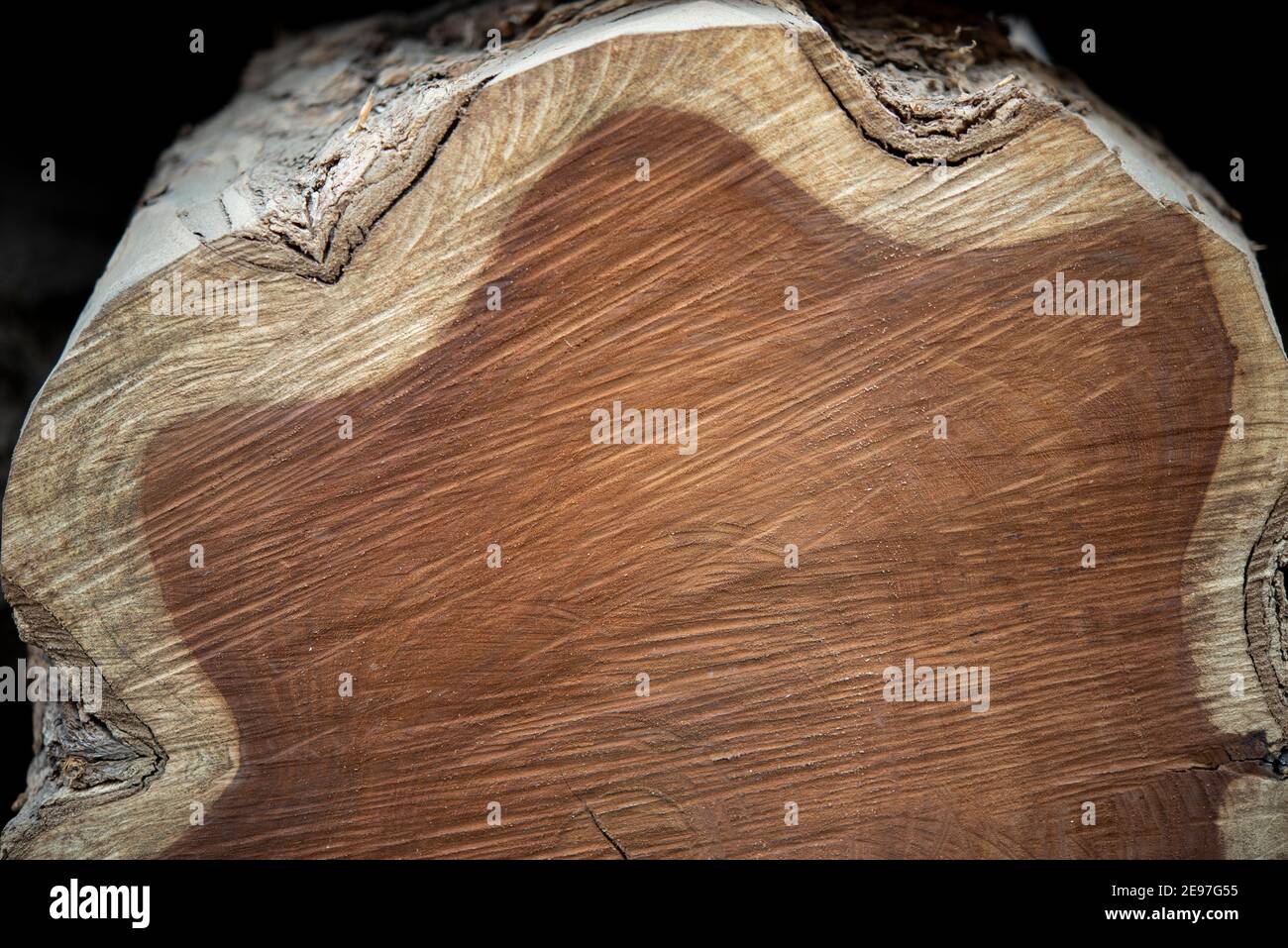 Two tones natural tree cut background making it interesting for banner ...