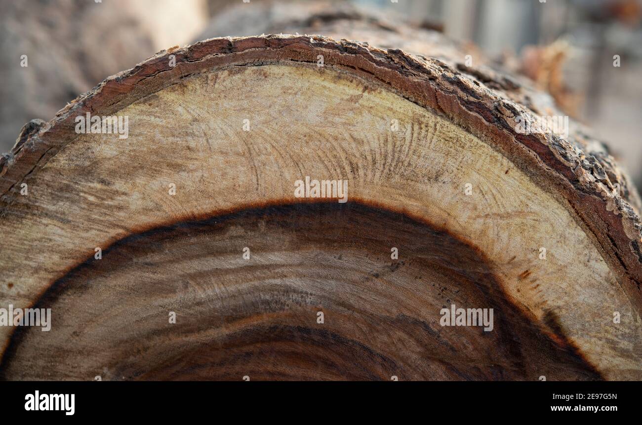 Natural wood shadows making natural texture Stock Photo - Alamy