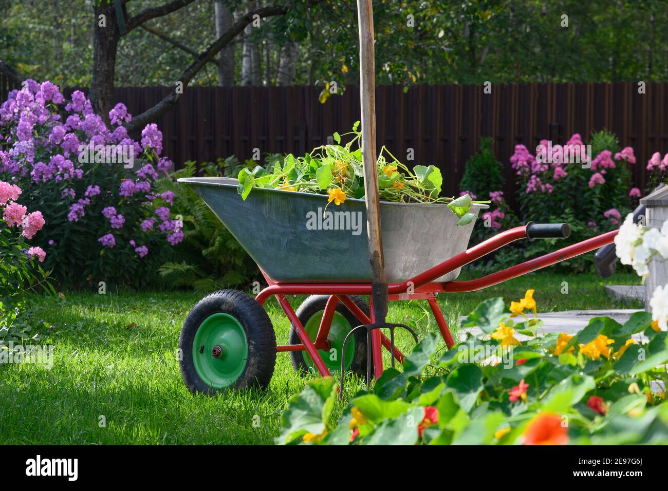Wheelbarrow full of humus and compost on green lawn with well-groomed ...