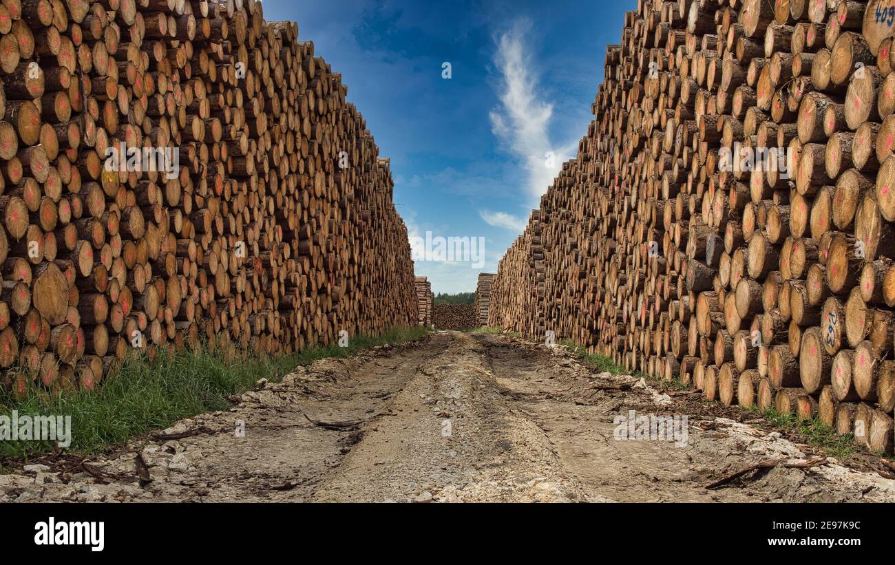 Big high hi-res stock photography and images - Alamy