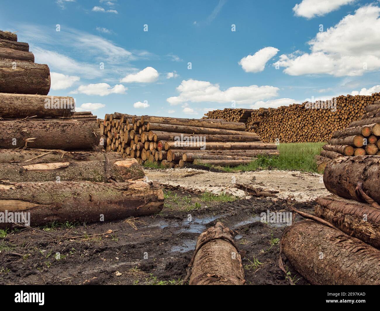 Big wood pile hi-res stock photography and images - Alamy