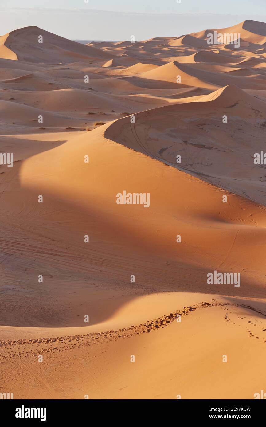 Endless Sands of the Sahara desert. Beautiful sunset over sand dunes of ...