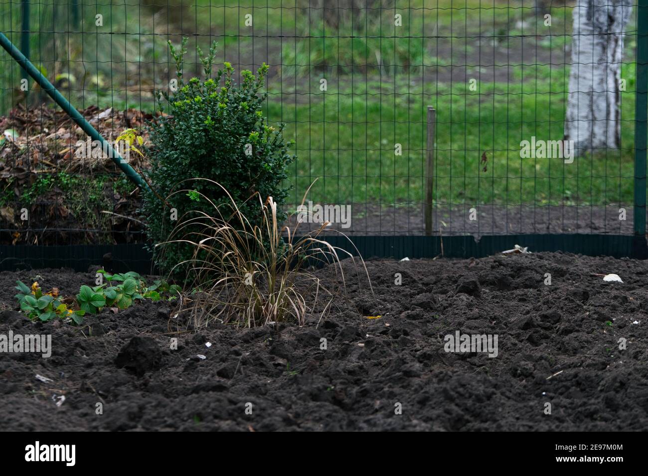 Garden without weeds hi-res stock photography and images - Alamy