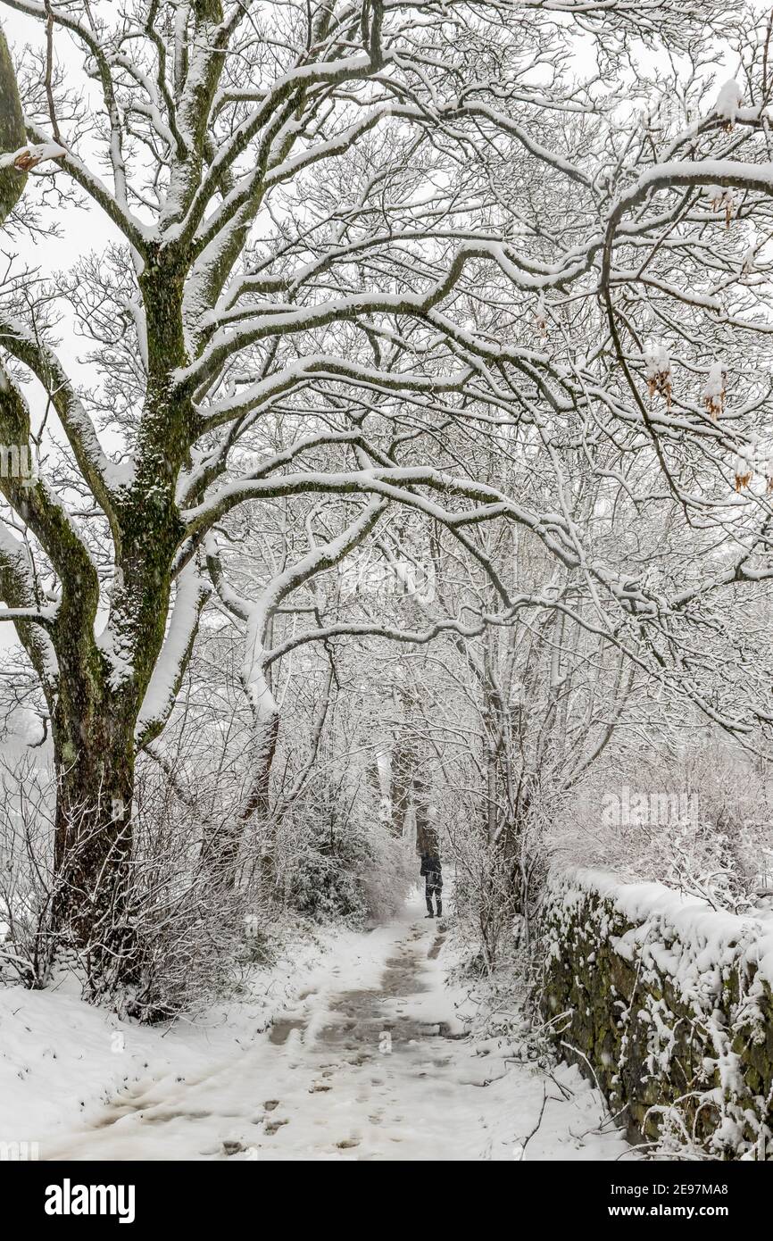 Snow covers the landscape, Yorkshire UK Stock Photo - Alamy