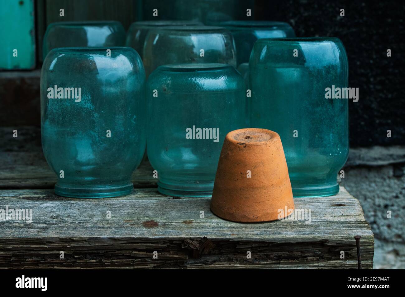 Glass jars with plant pot in front on wooden boards Stock Photo - Alamy